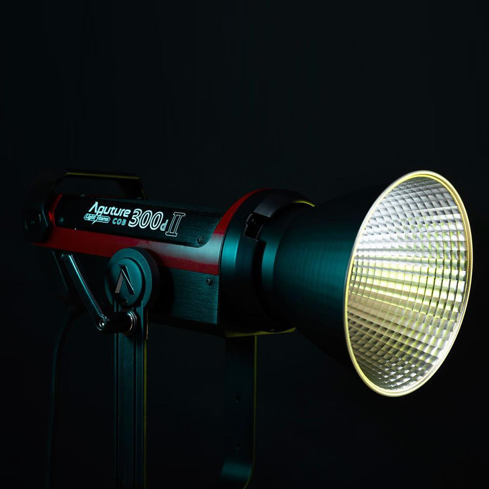 Aputure Light Storm C300D II Mark 5500k LED Video Studio Lighting