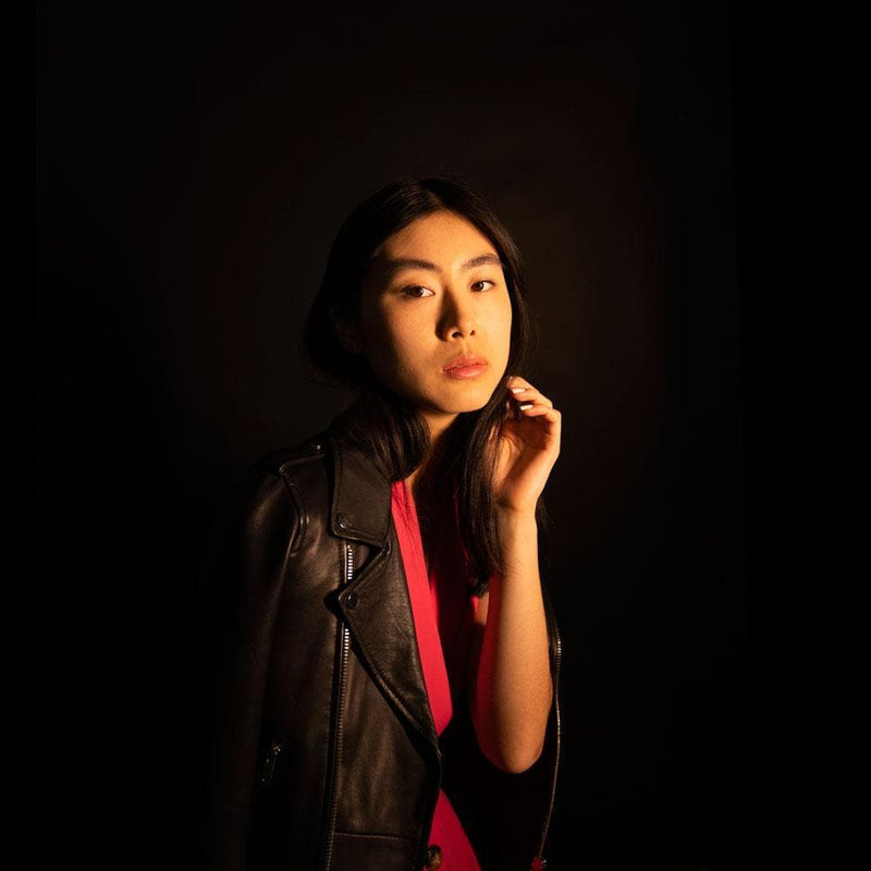 Godox LC500 LED Continuous Light Stick